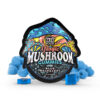 Blue Raspberry Magic Mushroom Gummies - TRĒ House