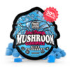Magic Mushroom Gummies for Sale - TRĒ House