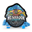 Blue Raspberry Magic Mushroom Gummies - TRĒ House